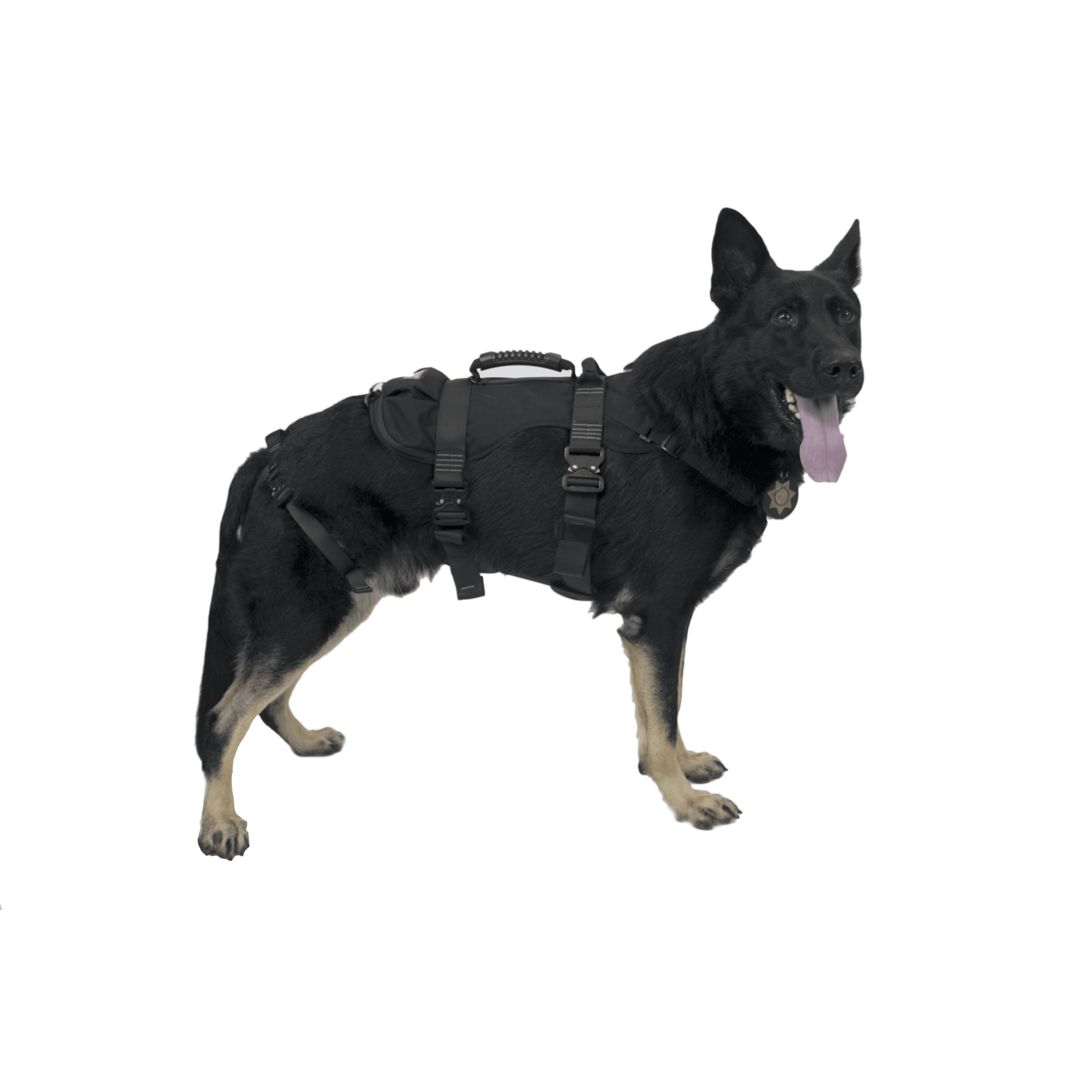 CMC K9 ProSeries Rappel Harness - First Choice Safety Solutions LLC